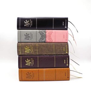 NIV, Life Application Study Bible, Third Edition, Large Print, Bonded Leather, Brown, Red Letter, Thumb Indexed