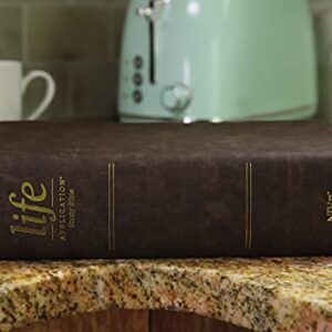 NIV, Life Application Study Bible, Third Edition, Large Print, Bonded Leather, Brown, Red Letter, Thumb Indexed