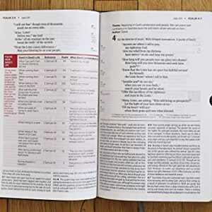 NIV, Life Application Study Bible, Third Edition, Large Print, Bonded Leather, Black, Red Letter, Thumb Indexed