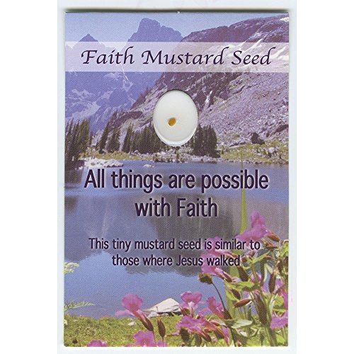 Faith Mustard Seed Wallet Cards with Mustard Seed (Pack of 12)