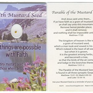 Faith Mustard Seed Wallet Cards with Mustard Seed (Pack of 12)