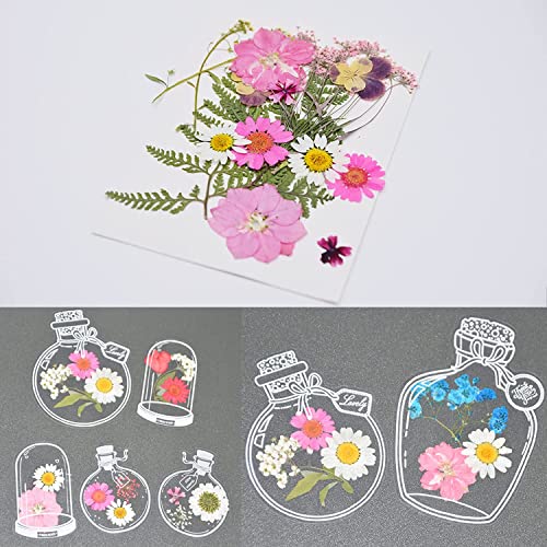 Transparent Dried Flower Bookmarks, Flower Bookmark Maker, Clear Floral Bookmark, Handmade Natural Dried Flower Bookmark, Transparent Floral Page Marker Home School Book Club (30pcs Large+Small)