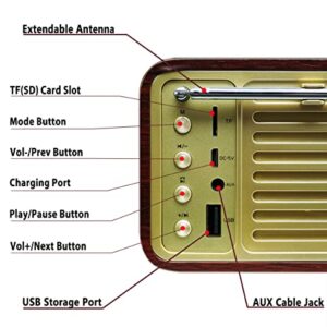 BentMax FM Radio with Bluetooth Retro Bluetooth Speaker Vintage Radio with SD/USB Memory Music Player Function, Wireless Streaming from Smartphone, 10 Hours Playback (Walnut)