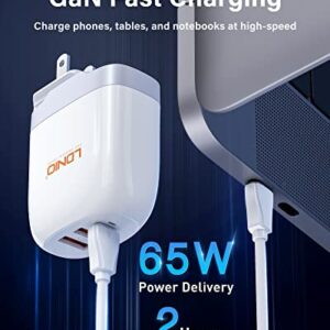 LDNIO 65W GaN USB C Charger 3-Port, PPS Compact Fast Charger with PD & QC3.0, Removable Wall Charger Power Adapter for MacBook Pro Air, iPad Pro Air, iPhone 14/13/12, Galaxy, Dell XPS Laptop etc