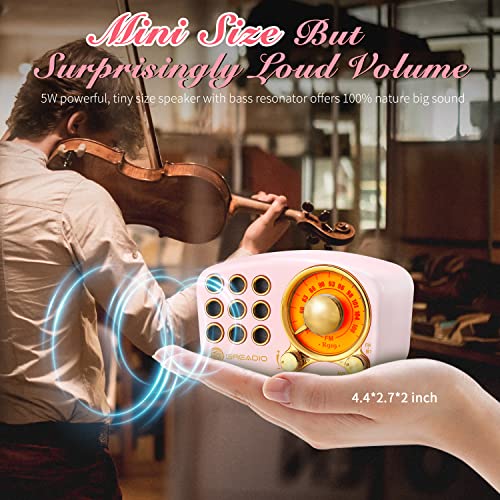 Retro Bluetooth Speaker, Vintage Radio-Greadio FM Radio with Old Fashioned Classic Style, Strong Bass Enhancement, Loud Volume, Bluetooth 5.0 Wireless Connection, TF Card and MP3 Player (Pink)