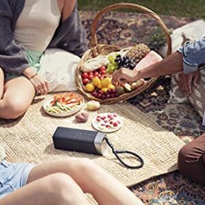 PHILIPS S7505 Wireless Bluetooth Speaker with Built-in Power-Bank, Large Bold Sound, Up to 20 Hours Playtime, IPX7 Waterproof, Shower Ready, Large Size, Gray