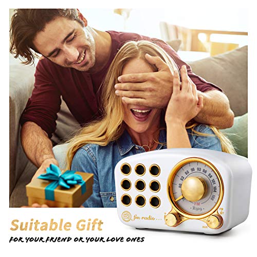 Givoust Retro Bluetooth Speaker FM Vintage Radio with Loud Volume, Strong Bass Enhancement, Bluetooth 5.0 Wireless Connection, TF Card & MP3 Player