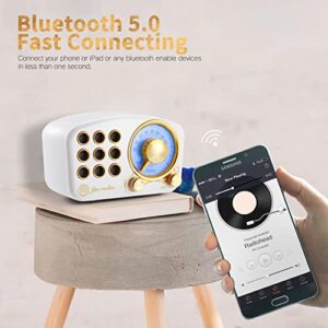 Givoust Retro Bluetooth Speaker FM Vintage Radio with Loud Volume, Strong Bass Enhancement, Bluetooth 5.0 Wireless Connection, TF Card & MP3 Player