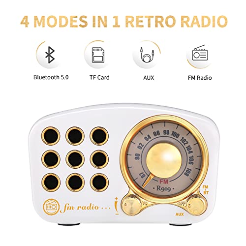 Givoust Retro Bluetooth Speaker FM Vintage Radio with Loud Volume, Strong Bass Enhancement, Bluetooth 5.0 Wireless Connection, TF Card & MP3 Player