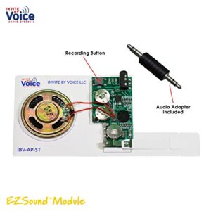 EZSound Module for DIY Audio Cards - Easy to Record - 120 Seconds Recording - High Sound Quality