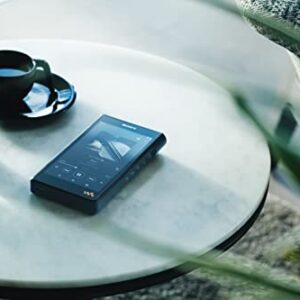 Sony NW-WM1AM2 Hi-Res 128GB Walkman Digital MP3 Music Player