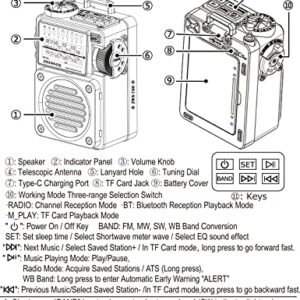 ZHIWHIS Shortwave Radio, Bluetooth Speakers with Sleep Timer, Weather AM FM SW Radios with NOAA Alerts, Retro Analog Tuner with Preset, Rechargeable MP3 Player with 6 EQ Support MicroSD Card ZWS-700