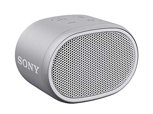 Sony SRS-XB01 Compact Portable Bluetooth Speaker: Loud Portable Party Speaker - Built in Mic for Phone Calls Bluetooth Speakers - Gray- SRS-XB01