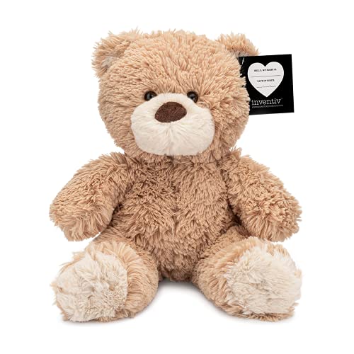 Inventiv Teddy Bear with Pouch, Easily Insert a Recordable Sound Module (Sold Separately), Plush Toy Stuffed Animal (Teddy Bear w/Pouch)