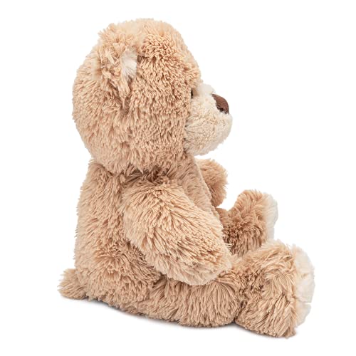 Inventiv Teddy Bear with Pouch, Easily Insert a Recordable Sound Module (Sold Separately), Plush Toy Stuffed Animal (Teddy Bear w/Pouch)