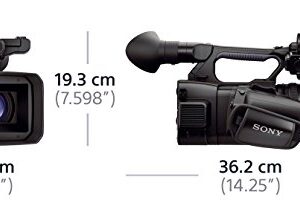 Sony FDR-AX1