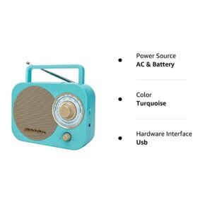 Studebaker SB2000TG Turquoise/Gold Retro Classic Portable AM/FM Radio with Aux Input Limited Edition