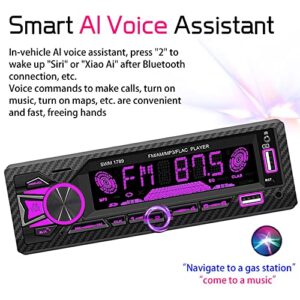 Bluetooth Car Stereo, AM FM Radio Receiver, Vehicle Navigation Location, Audio Record, Voice Assistant, APP Control, Dual USB/SD/AUX Port, Support MP3/WMA/WAV, Car Multimedia Player, Remote Control