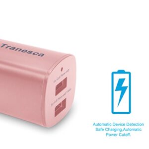 Tranesca Dual USB Wall Charger and 6ft Charging Cable (Rose Gold)