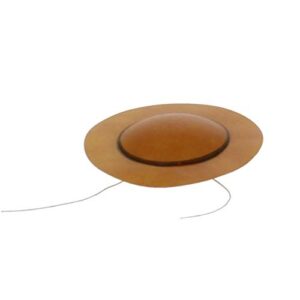 Fielect 25.5mm Tweeter Voice Coil Audio Speaker High Tone Silk Dome Tweeter Accessory for Audio Replacement 4Pcs