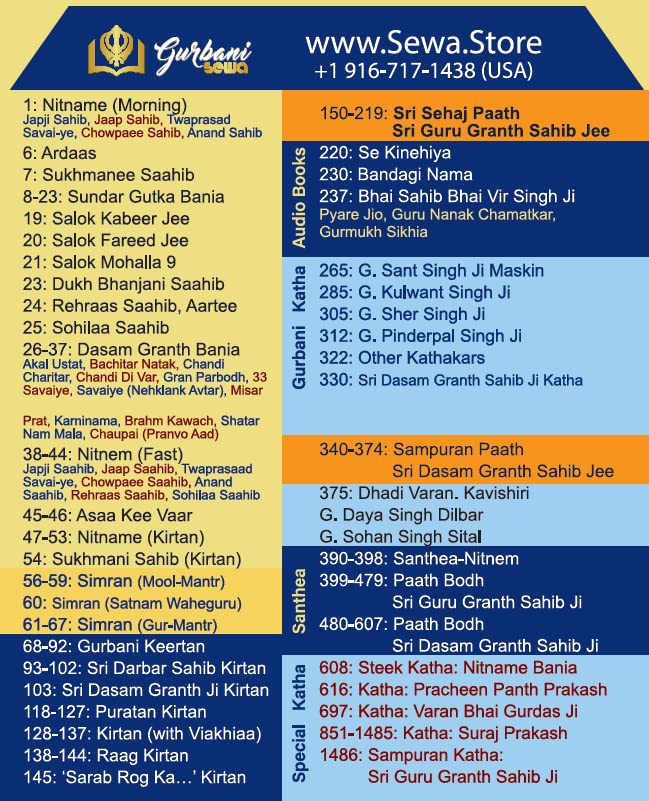 Gurbani Radio Player (GP49XL) with 2100 Hours of Nitnem, Sukhmani Sahib, and Many Other Gurbani Tracks