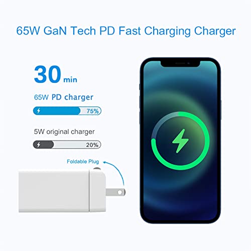 USB C Wall Charger, Geibiu 65W Dual Port PD 3.0 GaN Fast Charger with 6ft USB C to USB C Cable, Foldable Power Adapter for iPhone 13/13 Mini/13 Pro/13 Pro Max/12, Galaxy, iPad/iPad Mini and More