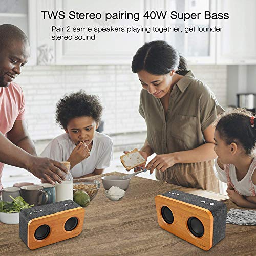 INSMY Retro Bluetooth Speaker, 20W Portable Wood Home Audio Super Bass Stereo with Subwoofer, Bluetooth 5.0 24H Playtime Support TF Card Aux Wireless Bookshelf Speaker for Party (Black)