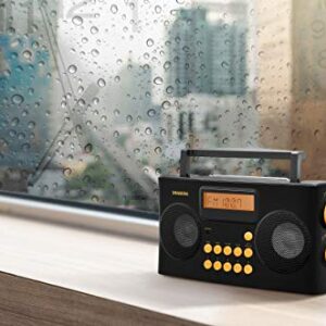 Sangean PR-D17 AM/FM-RDS Portable Radio Specially Designed for The Visually Impaired with Helpful Guided Voice Prompts, Black, 10 Station Presets (5 AM, 5 FM), Stereo/Mono Switch, Alarm Timer