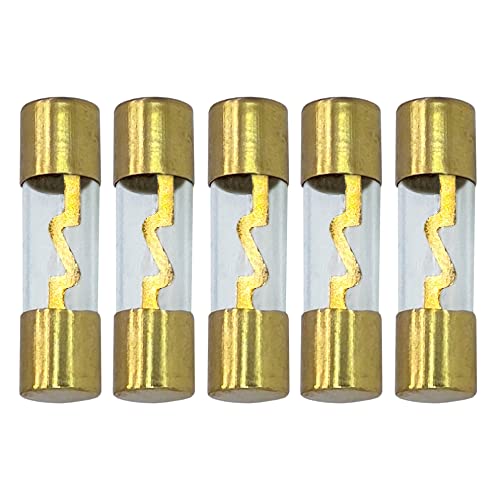 A.A AGU Fuse 100A 100 Amp Gold Glass Inline for Car/Auto/Marine Audio Stereo Amplifier Power Protection 100 Amp