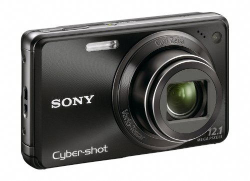 Sony Cyber-shot DSC-W290 12.1 MP Digital Camera with 5x Optical Zoom and Super Steady Shot Image Stabilization (Black) (Discontinued by Manufacturer)