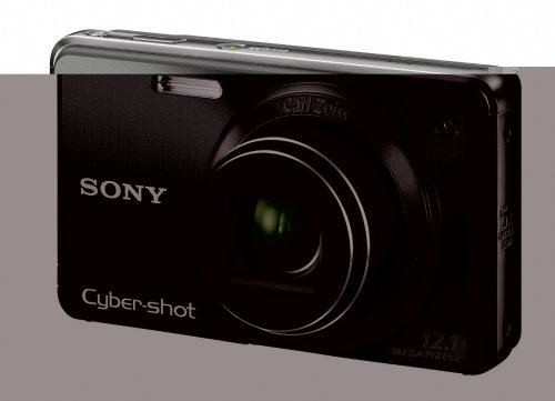 Sony Cyber-shot DSC-W290 12.1 MP Digital Camera with 5x Optical Zoom and Super Steady Shot Image Stabilization (Black) (Discontinued by Manufacturer)