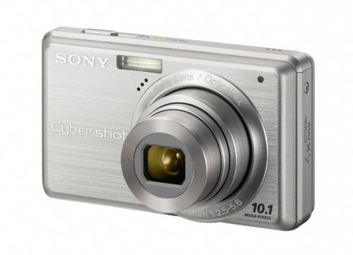 Sony Cybershot DSC-S950 10MP Digital Camera with 4x Optical Zoom with Super Steady Shot Image Stabilization (Silver)