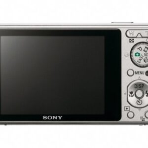 Sony Cybershot DSC-S950 10MP Digital Camera with 4x Optical Zoom with Super Steady Shot Image Stabilization (Silver)