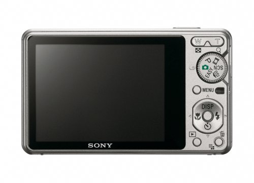 Sony Cybershot DSC-S950 10MP Digital Camera with 4x Optical Zoom with Super Steady Shot Image Stabilization (Silver)