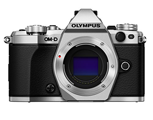 OLYMPUS OM-D E-M5 Mark II (Silver) (Body Only)