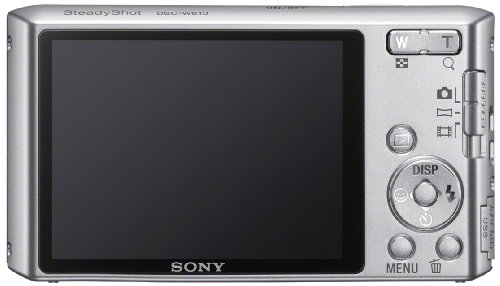 Sony Cyber-shot DSCW610 14.1 MP Digital Camera with 4x Optical Zoom and 2.7-Inch LCD (Silver) (2012 Model)