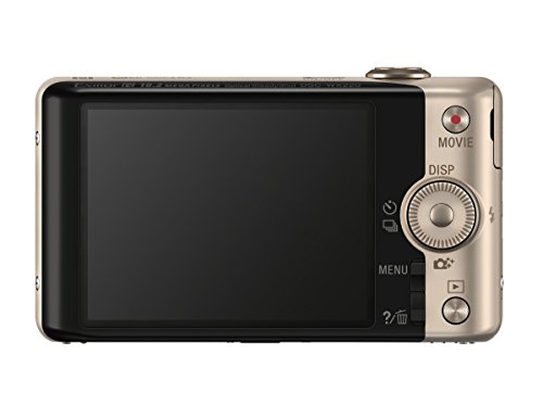 Sony DSCWX220/N 18.2 MP Digital Camera with 2.7-Inch LCD (Gold)