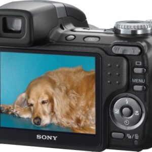 Sony Cybershot DSC-H5 7.2MP Digital Camera with 12x Optical Image Stabilization Zoom