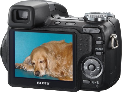 Sony Cybershot DSC-H5 7.2MP Digital Camera with 12x Optical Image Stabilization Zoom