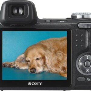 Sony Cybershot DSC-H5 7.2MP Digital Camera with 12x Optical Image Stabilization Zoom