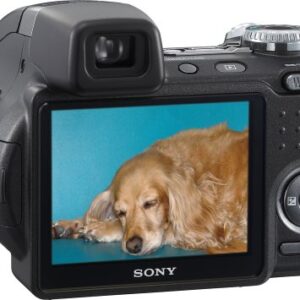 Sony Cybershot DSC-H5 7.2MP Digital Camera with 12x Optical Image Stabilization Zoom