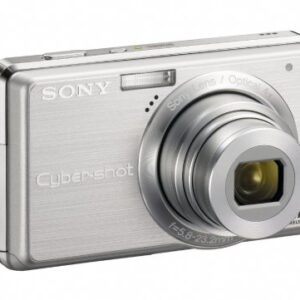 Sony Cybershot DSC-S980 12.1MP Digital Camera with 4x Optical Zoom with Super Steady Shot Image Stabilization (Silver)