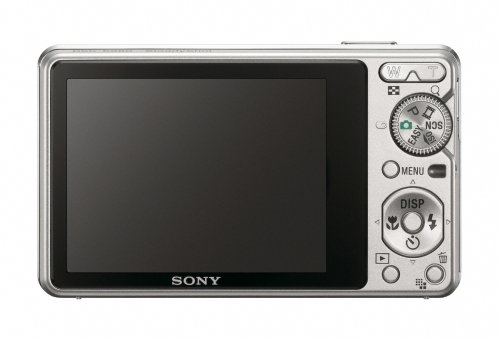 Sony Cybershot DSC-S980 12.1MP Digital Camera with 4x Optical Zoom with Super Steady Shot Image Stabilization (Silver)