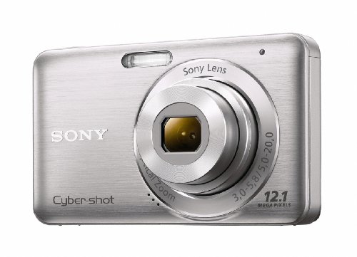 Sony DSC-W310 12.1MP Digital Camera with 4x Wide Angle Zoom with Digital Steady Shot Image Stabilization and 2.7 inch LCD (Silver)