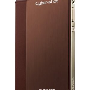 Sony Cybershot DSC-T77 10MP Digital Camera with 4x Optical Zoom with Super Steady Shot Image Stabilization (Brown)