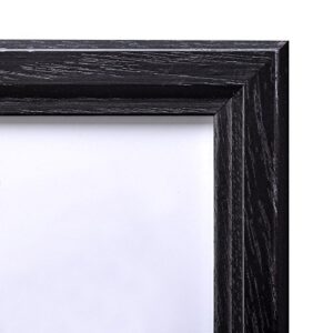 ハクバ HAKUBA 509571 Piculia Wooden Picture Frame, Black, A4