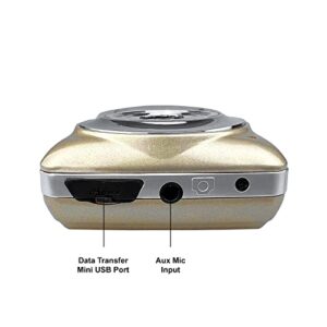 Acuvar 16MP Megapixel Compact Digital Photo and Video Camera with 2.4" LCD Screen, Mic Input and USB Media Transfer (Gold)