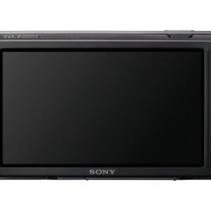 Sony Cybershot DSC-T700 10MP Digital Camera with 4x Optical Zoom with Super Steady Shot Image Stabilization (Grey)