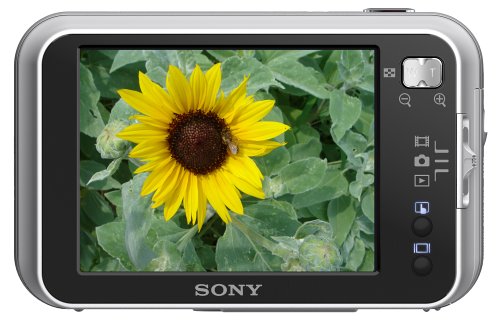 Sony Cybershot DSCN1 8.1MP Digital Camera with 3x Optical Zoom