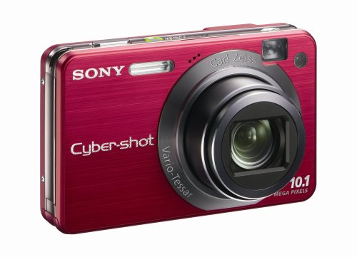 Sony Cybershot DSCW170/R 10.1MP Digital Camera with 5x Optical Zoom with Super Steady Shot (Red)